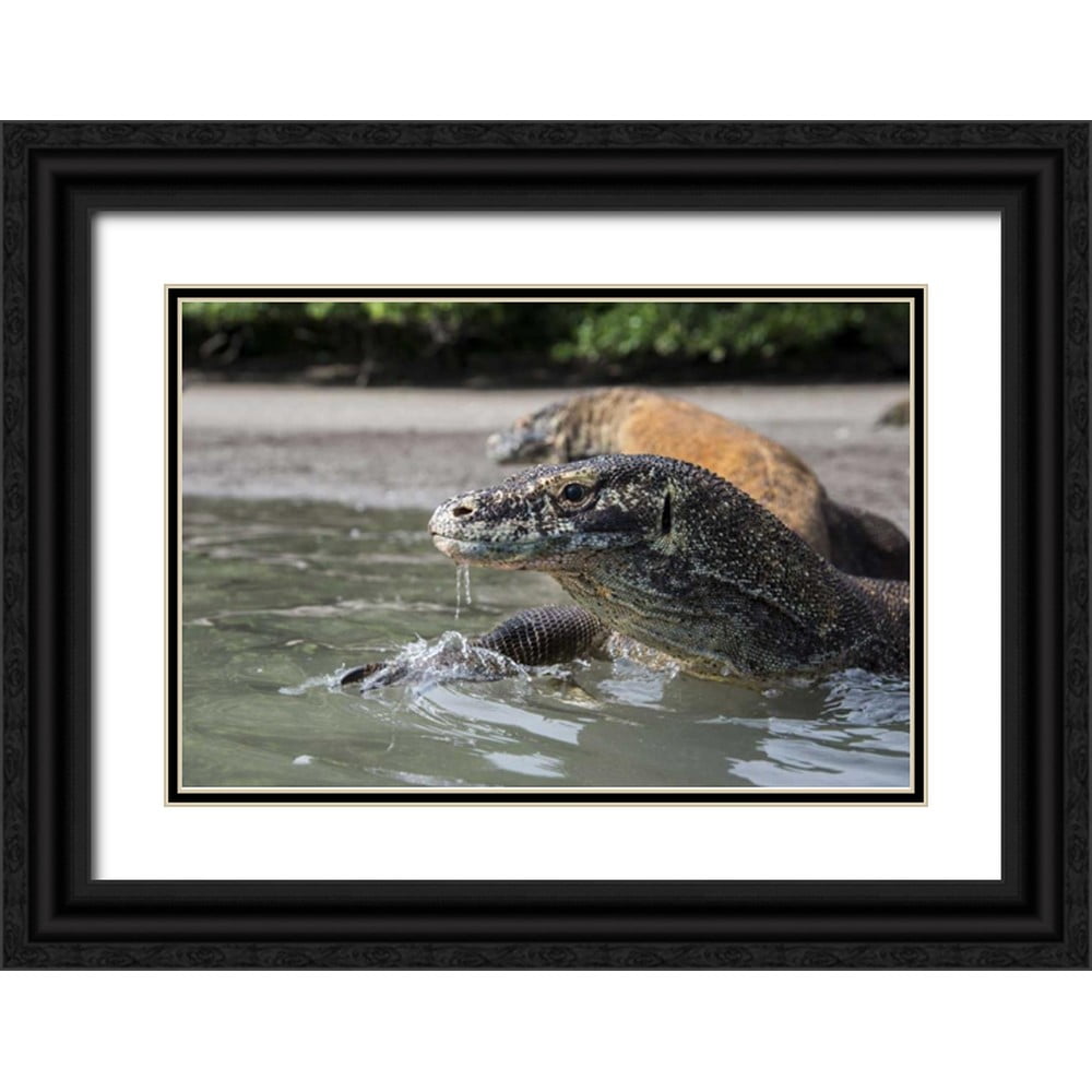 Shimlock, Jones 14x11 Black Ornate Wood Framed with Double Matting ...