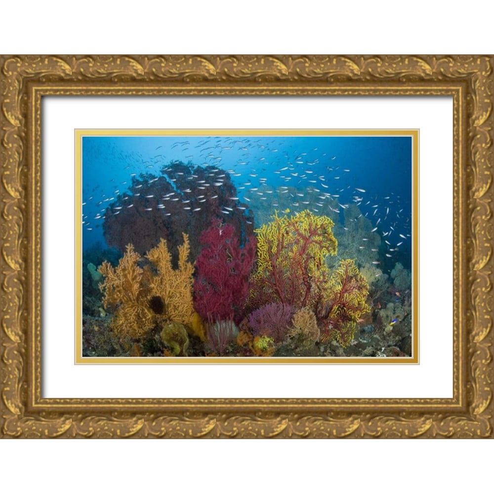 Shimlock, Jones 14x11 Gold Ornate Wood Framed with Double Matting ...