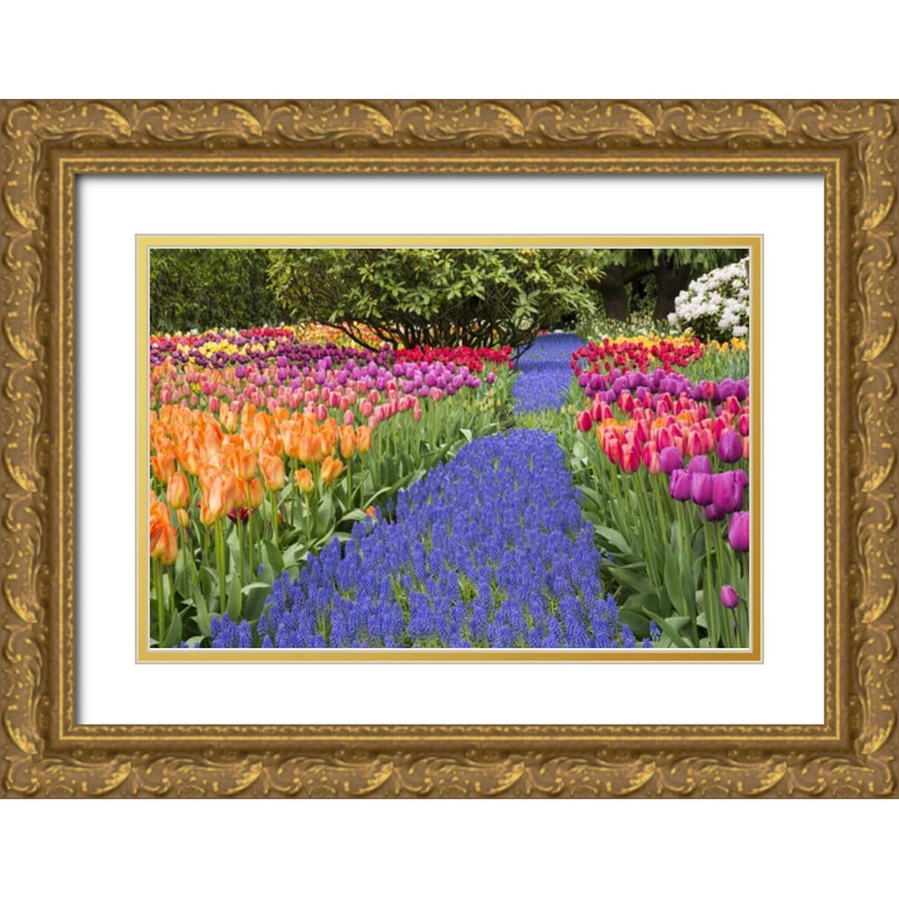 Shimlock, Jones 14x11 Gold Ornate Wood Framed with Double Matting ...