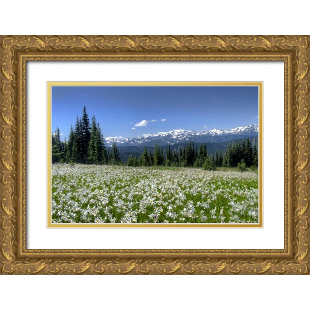 Shimlock, Jones 14x11 Gold Ornate Wood Framed with Double Matting ...