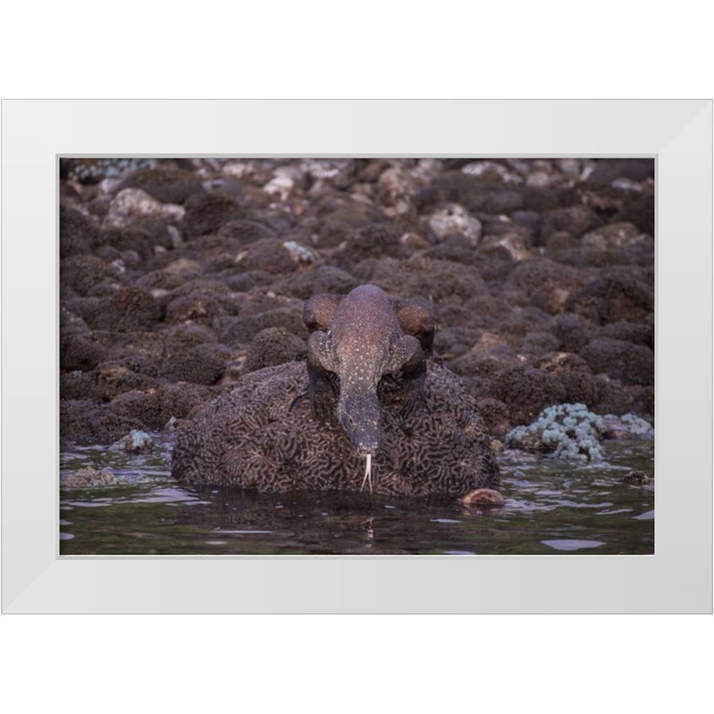 Shimlock, Jones 14x11 White Modern Wood Framed Museum Art Print Titled ...