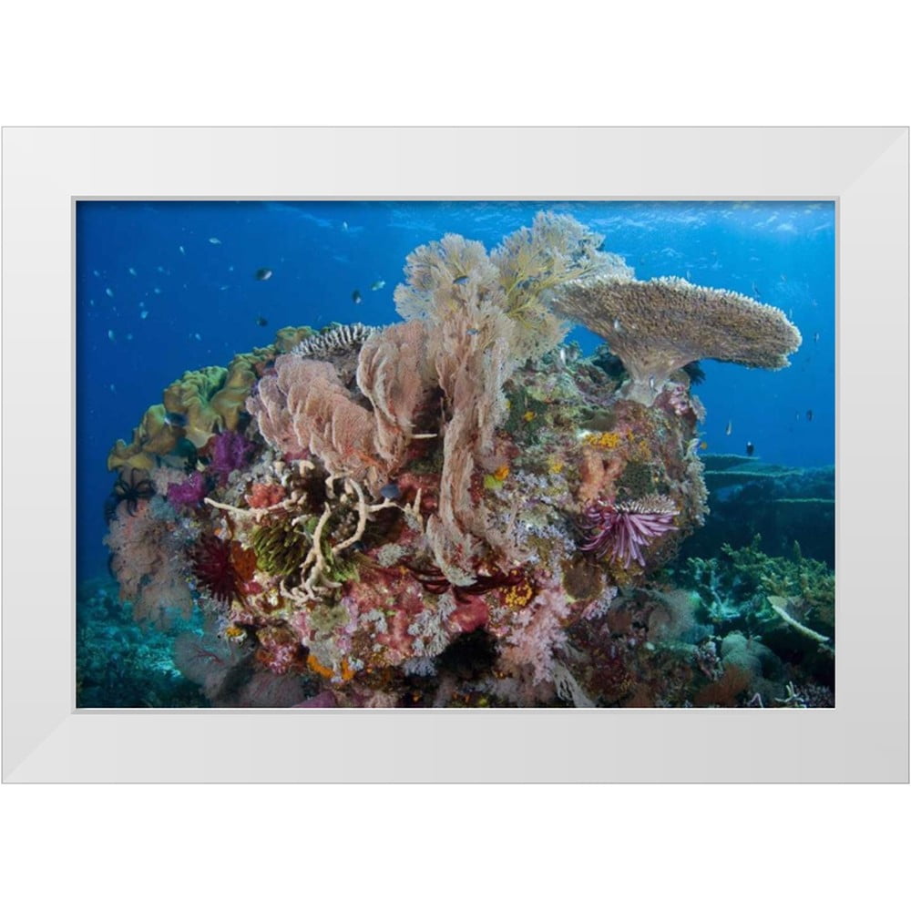 Shimlock, Jones 14x11 White Modern Wood Framed Museum Art Print Titled ...