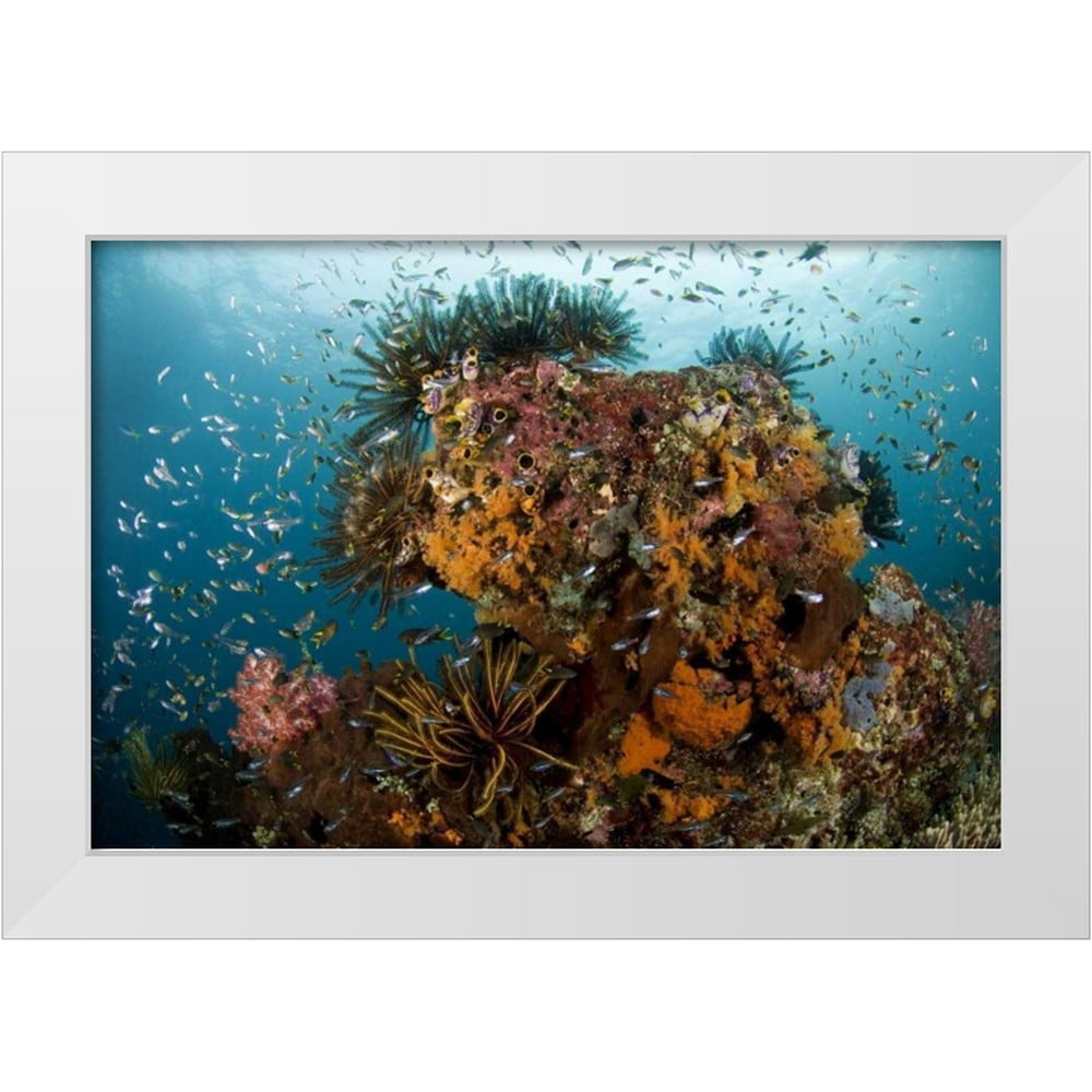 Shimlock, Jones 14x11 White Modern Wood Framed Museum Art Print Titled ...