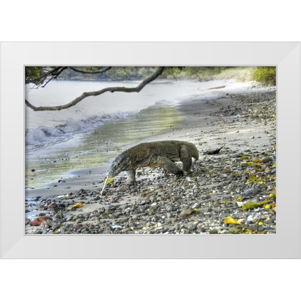 Shimlock, Jones 14x11 White Modern Wood Framed Museum Art Print Titled ...