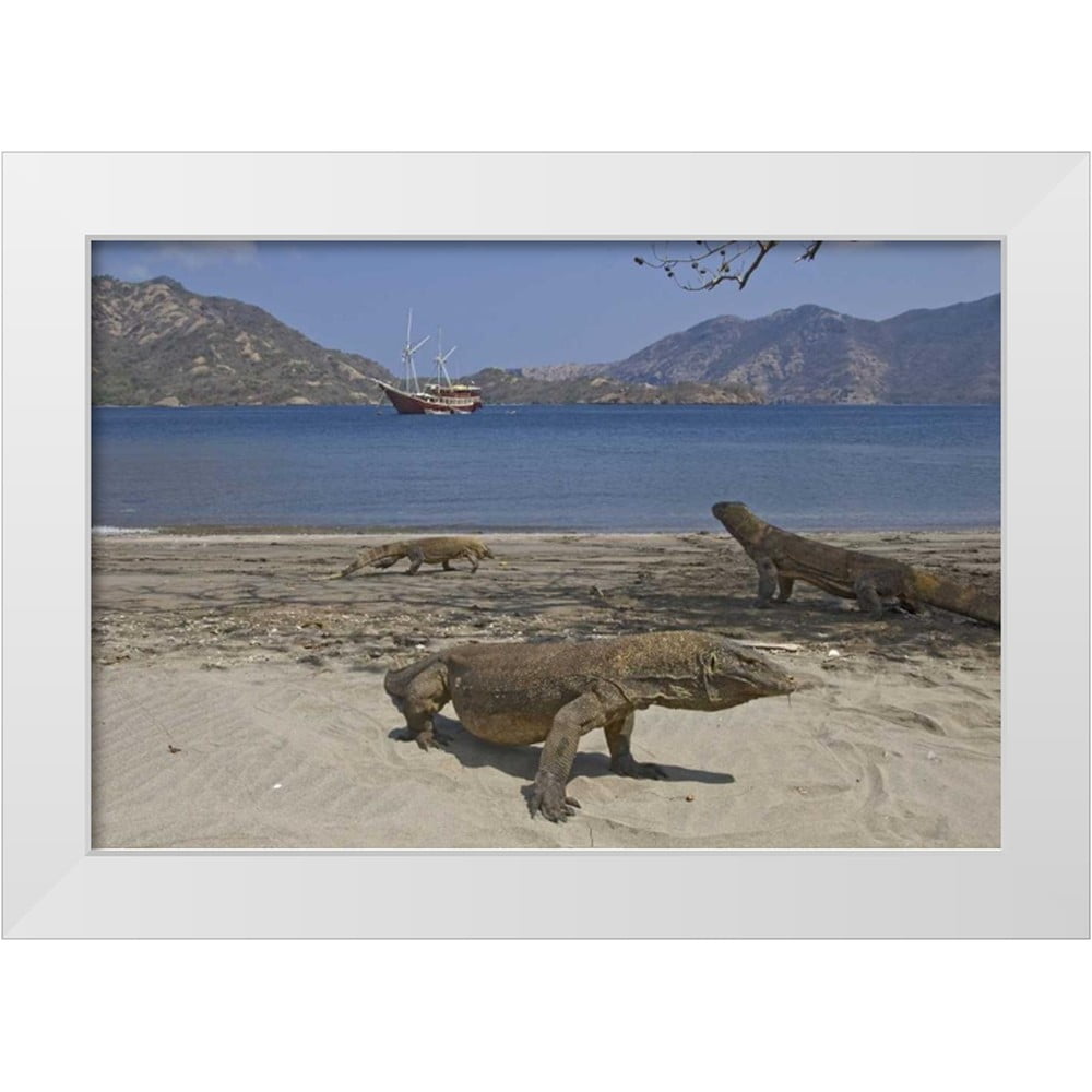 Shimlock, Jones 14x11 White Modern Wood Framed Museum Art Print Titled ...