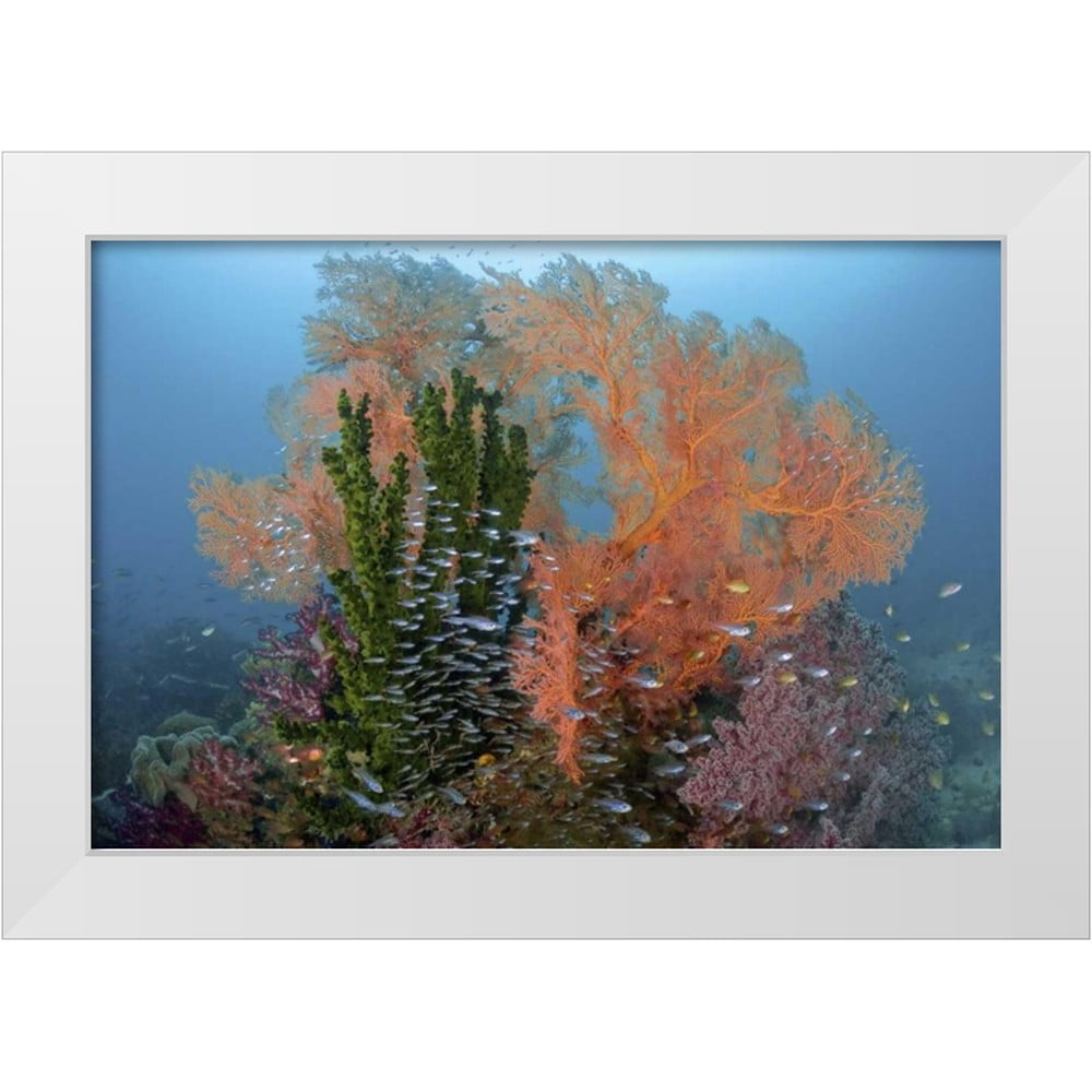 Shimlock, Jones 14x11 White Modern Wood Framed Museum Art Print Titled ...