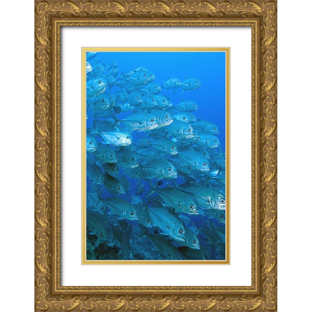 Shimlock, Jones 17x24 Gold Ornate Wood Framed with Double Matting ...