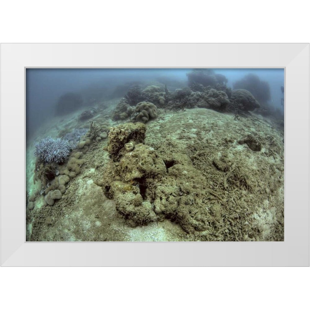 Shimlock, Jones 18x13 White Modern Wood Framed Museum Art Print Titled ...