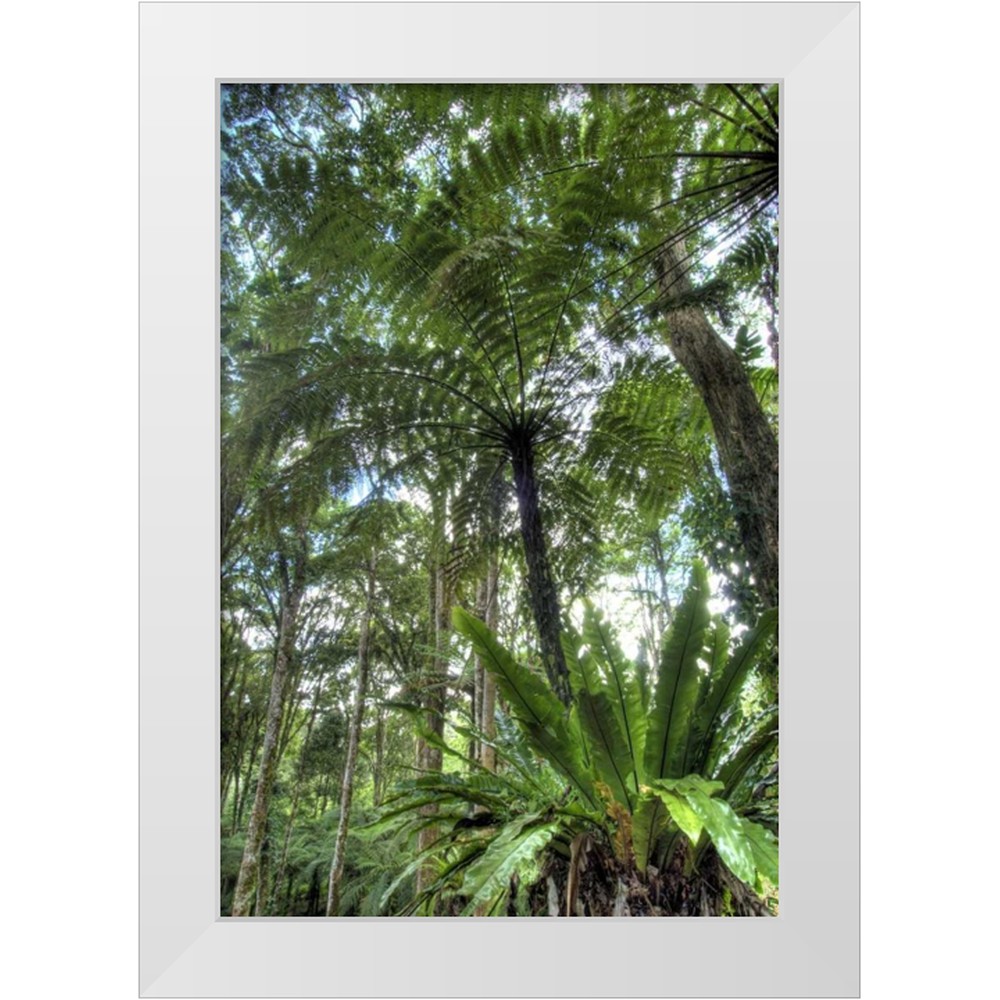 Shimlock, Jones 23x32 White Modern Wood Framed Museum Art Print Titled ...