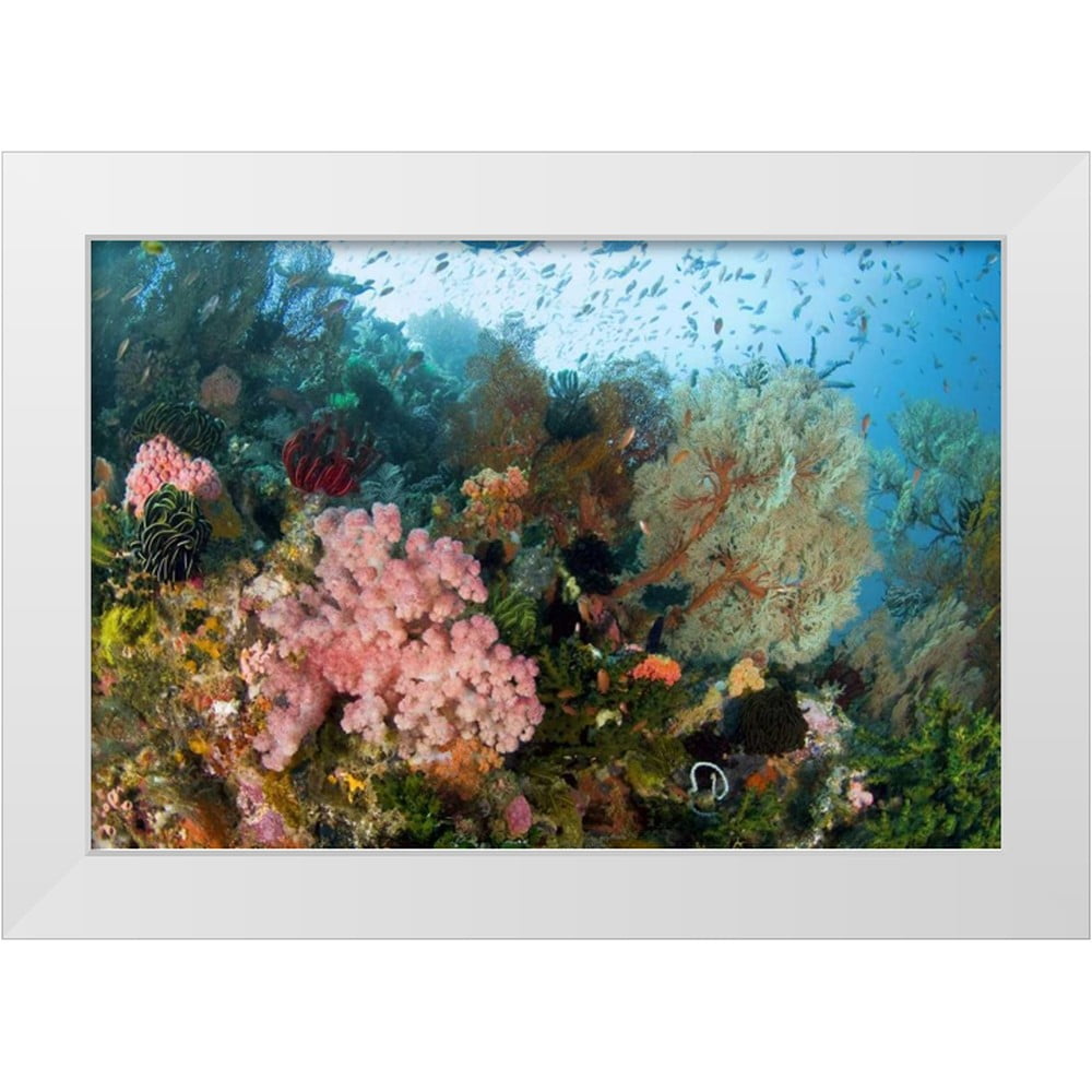 Shimlock, Jones 24x17 White Modern Wood Framed Museum Art Print Titled ...