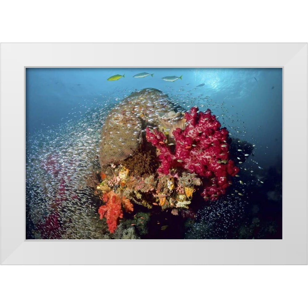 Shimlock, Jones 24x17 White Modern Wood Framed Museum Art Print Titled ...