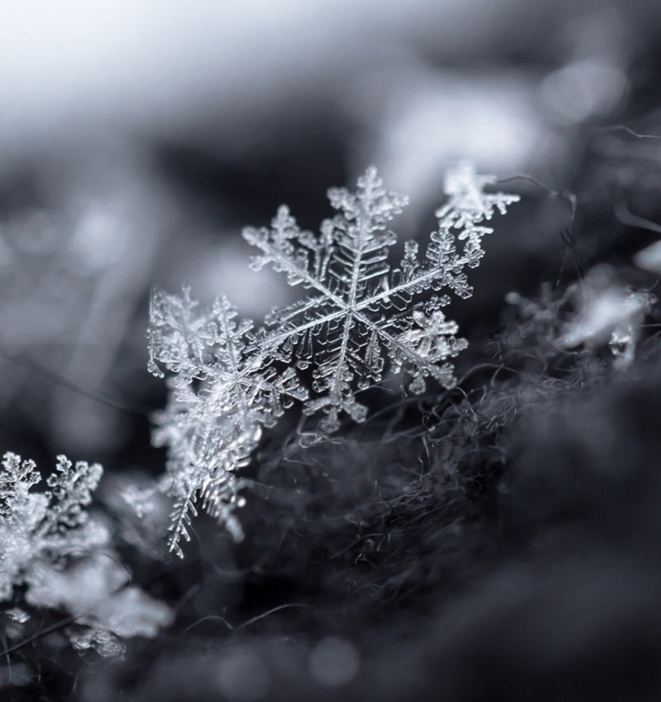 Shimmering Snowflake - Walmart.com