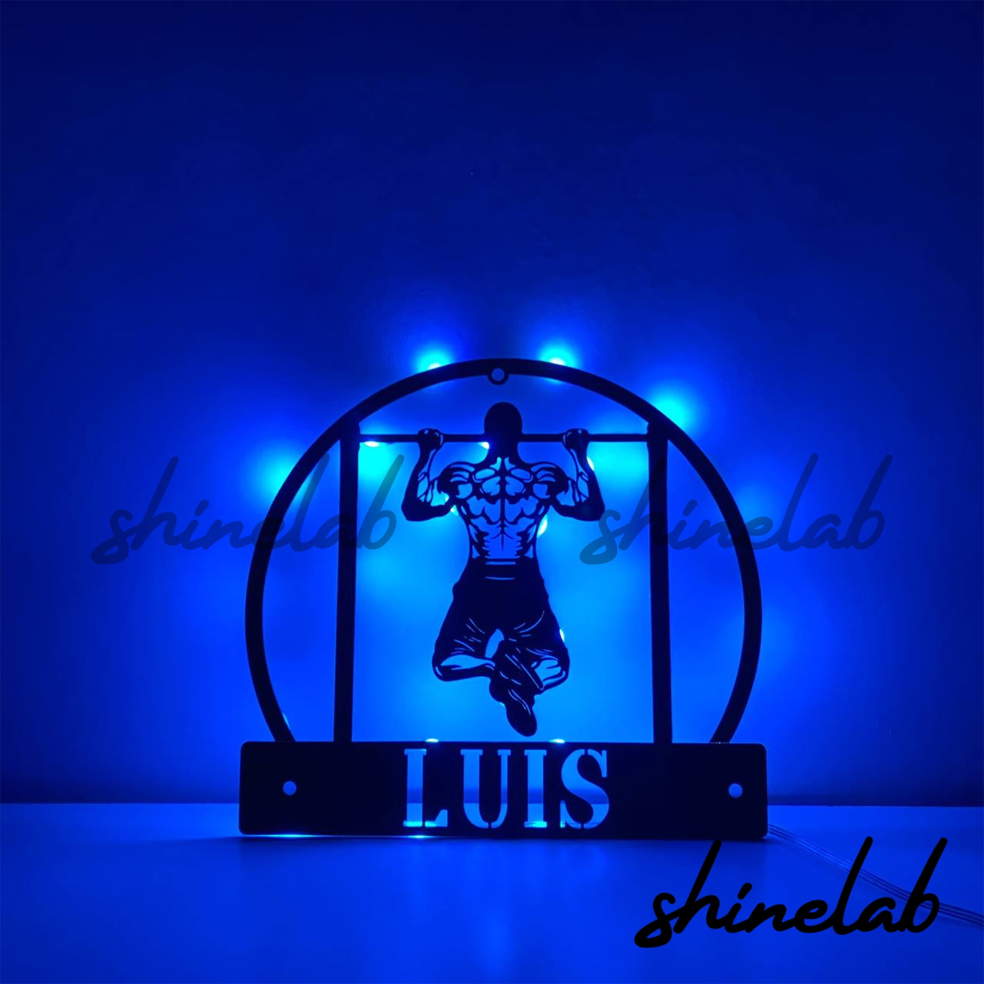 Shinelab Calisthenics Metal Sign LED Wall Art, Custom Fitness Room Wall ...