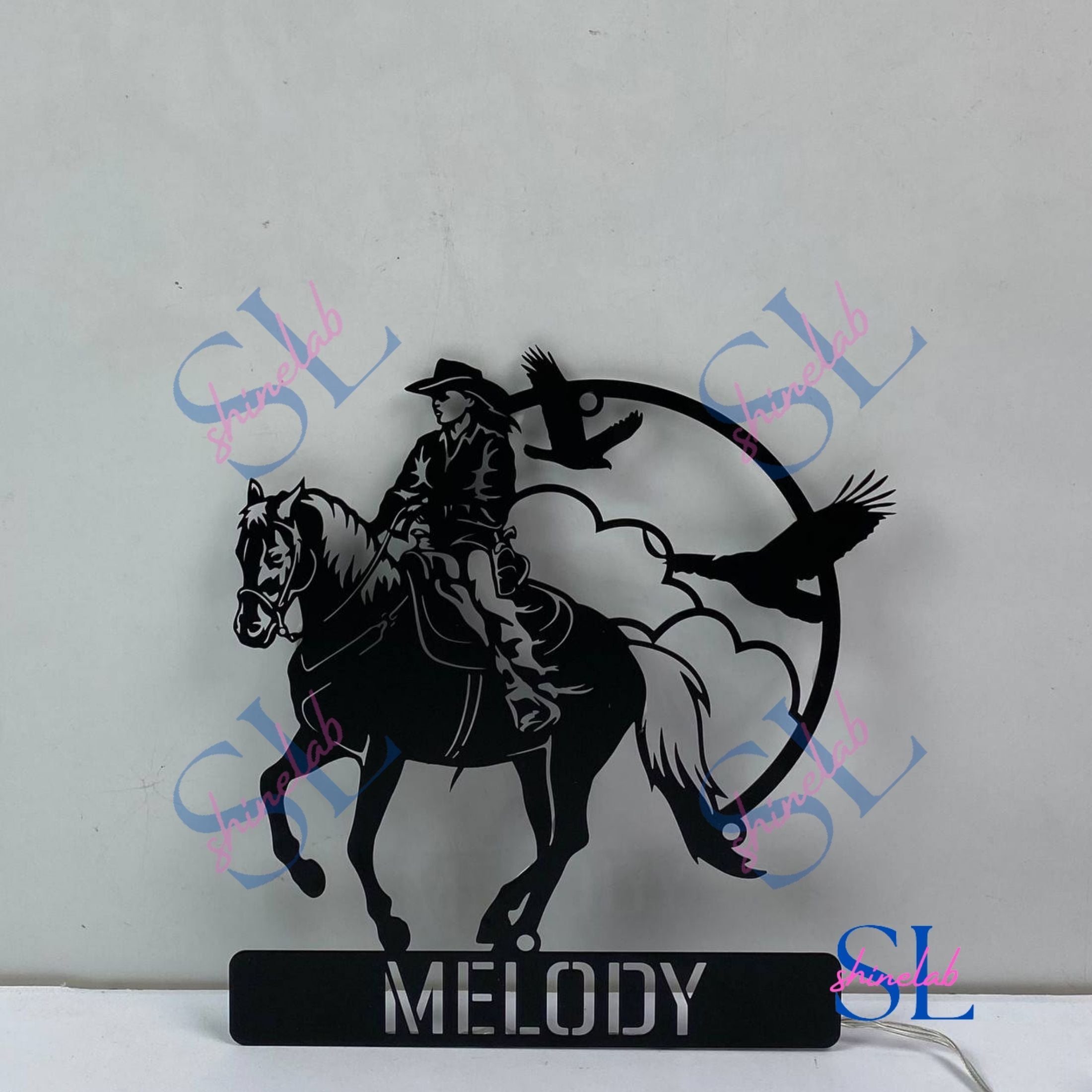 Shinelab Cowgirl Metal Wall Art LED Light, Cowgirl Riding Horse Name ...