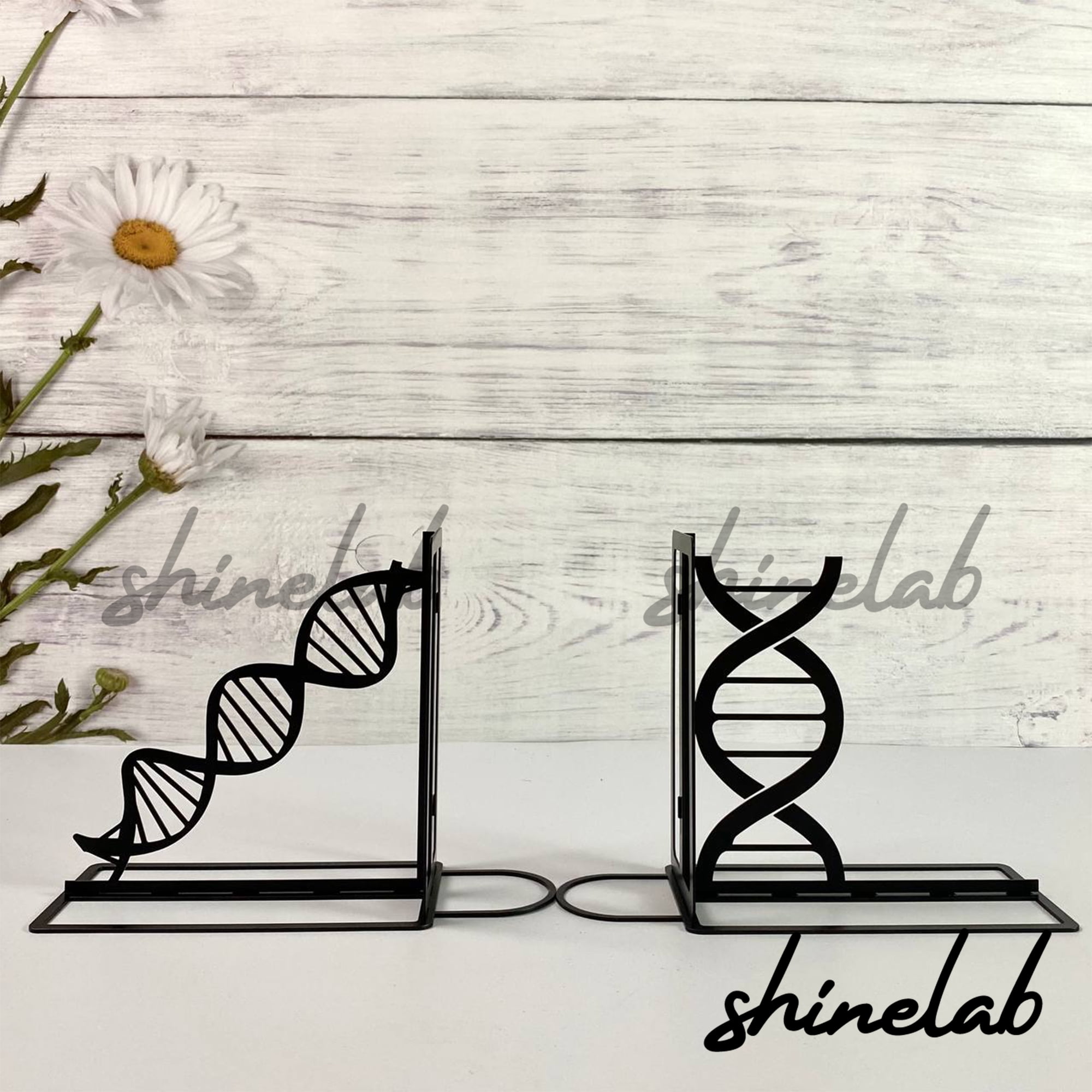 Shinelab DNA Metal Bookends DNA Double Biology Name Bookend Gift, Art ...
