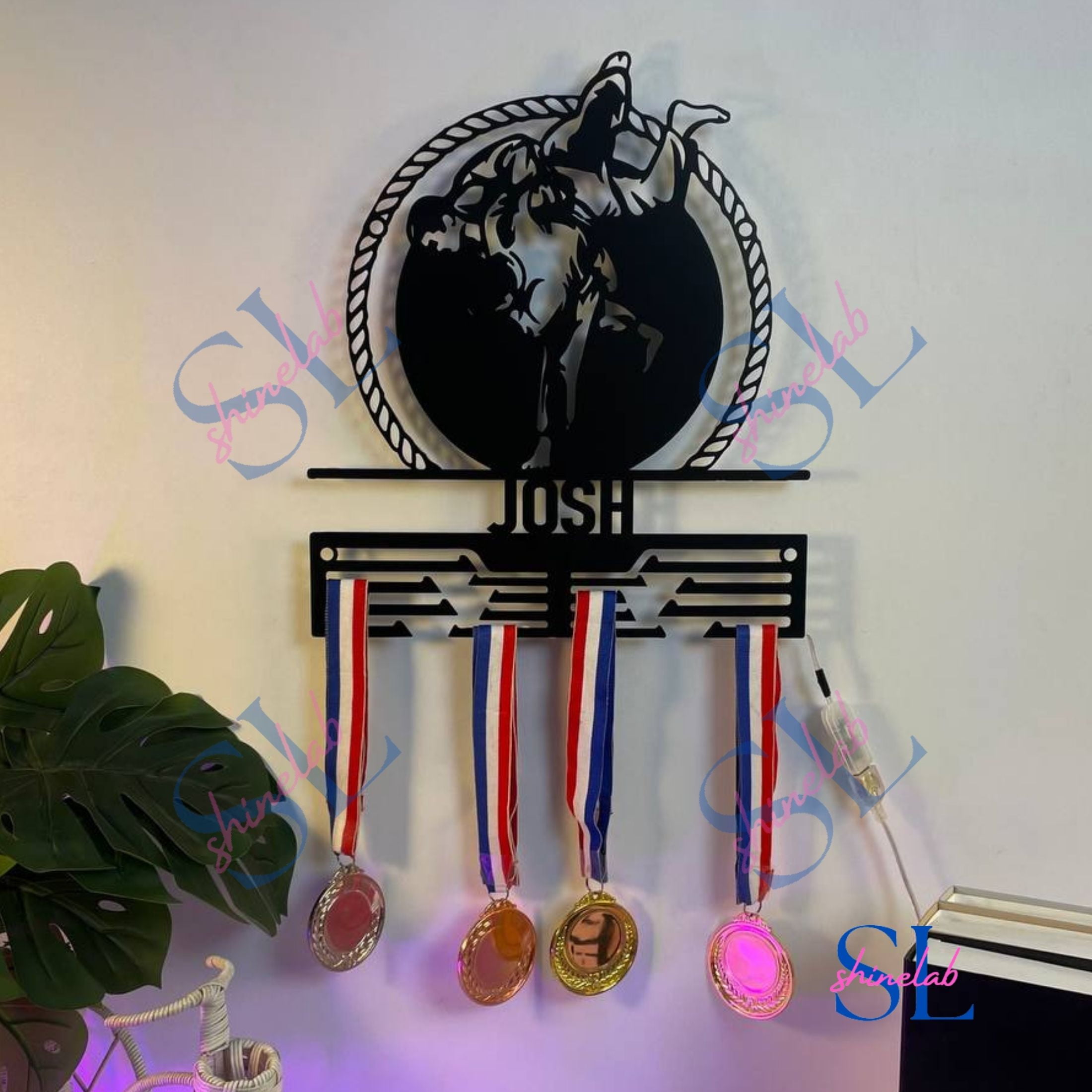 Shinelab Metal Brazilian Jiu Jitsu Medal Hanger Wall Art Led Light, Jiu ...