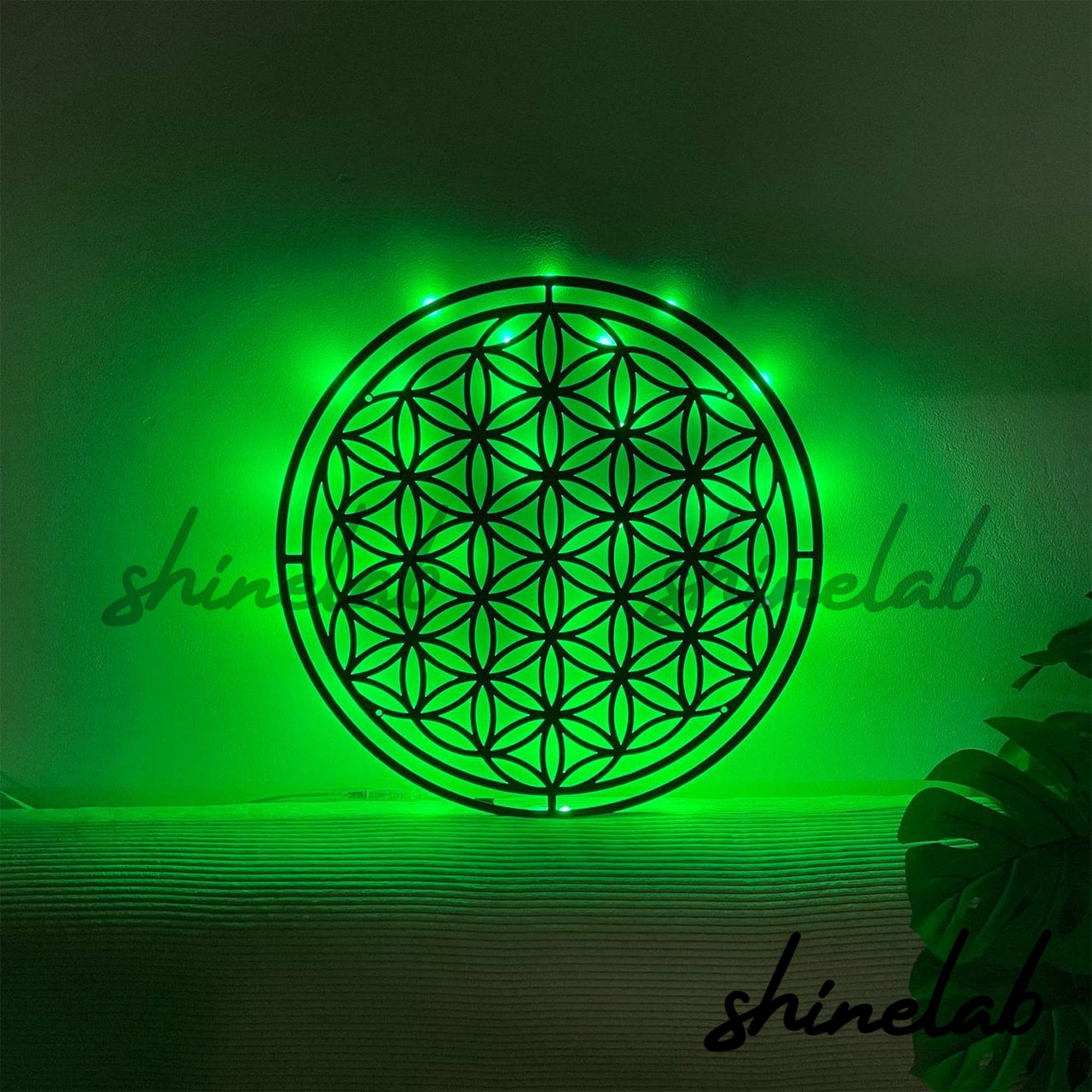 Shinelab Sacred Geometry LED Wall Art, Custom Geometry Metal Sign ...