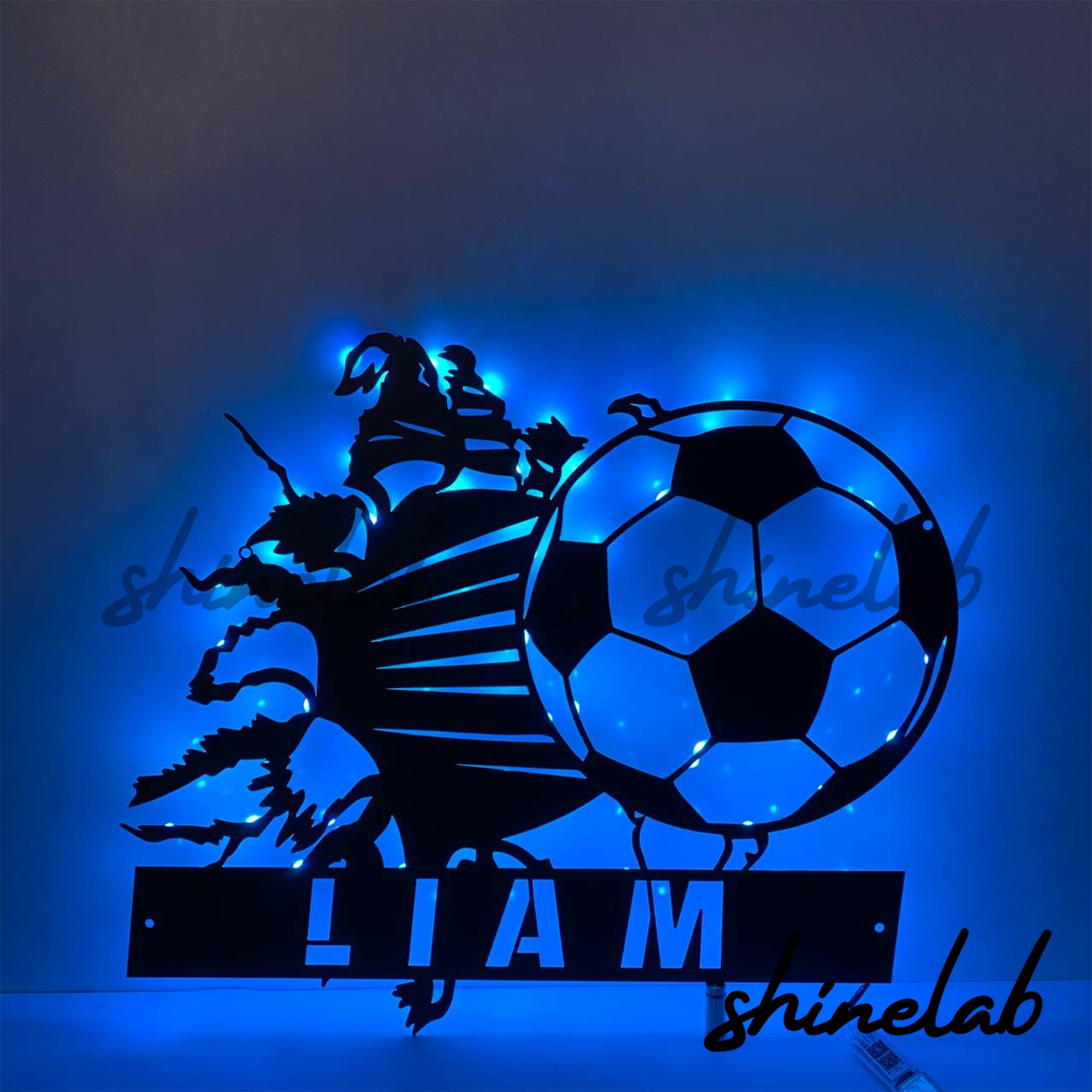 Shinelab Soccer Ball Metal Sign LED Wall Art, Custom Soccer Player Name ...