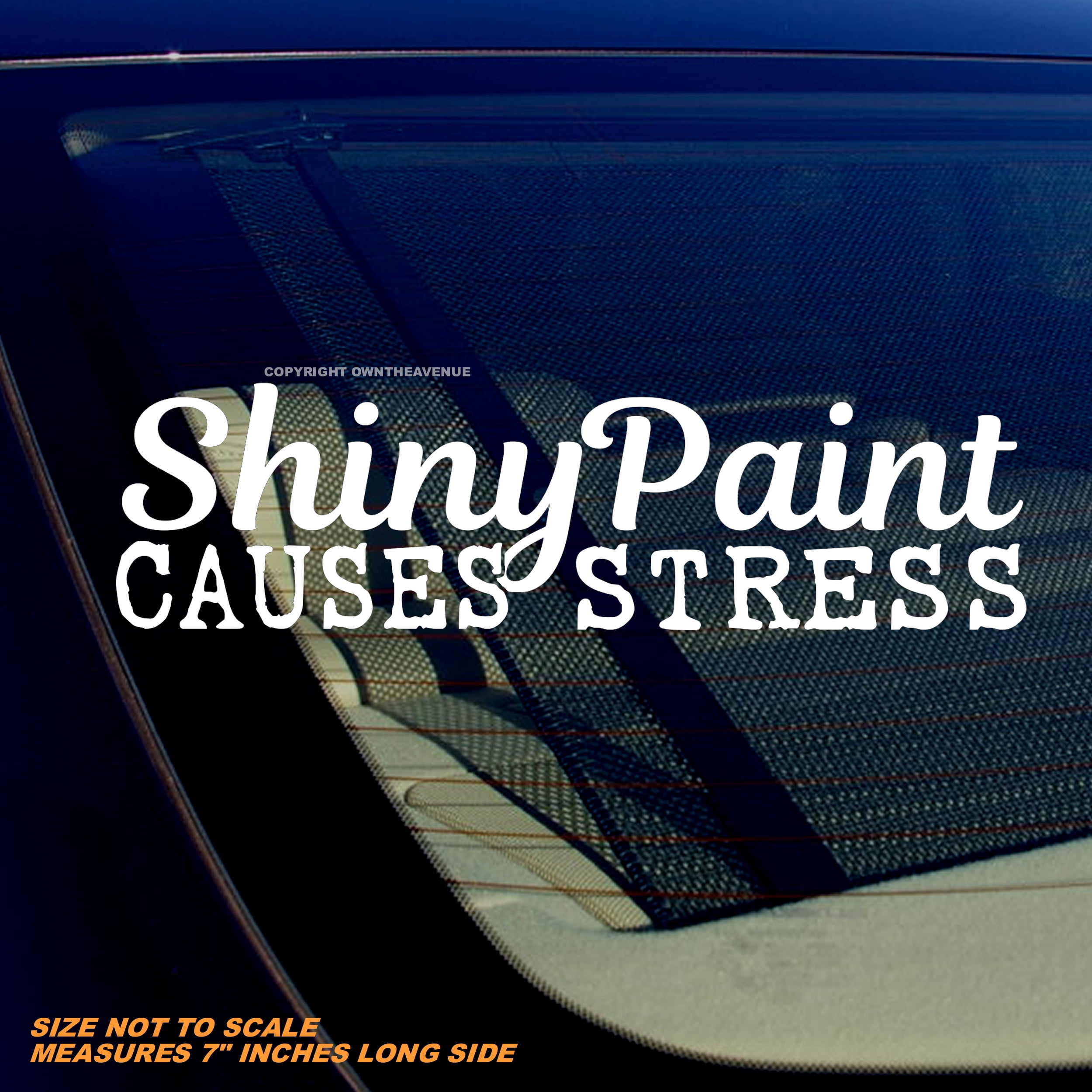 Shiny Paint Causes Stress Funny Joke Off Road 4x4 Truck JDM Vinyl ...
