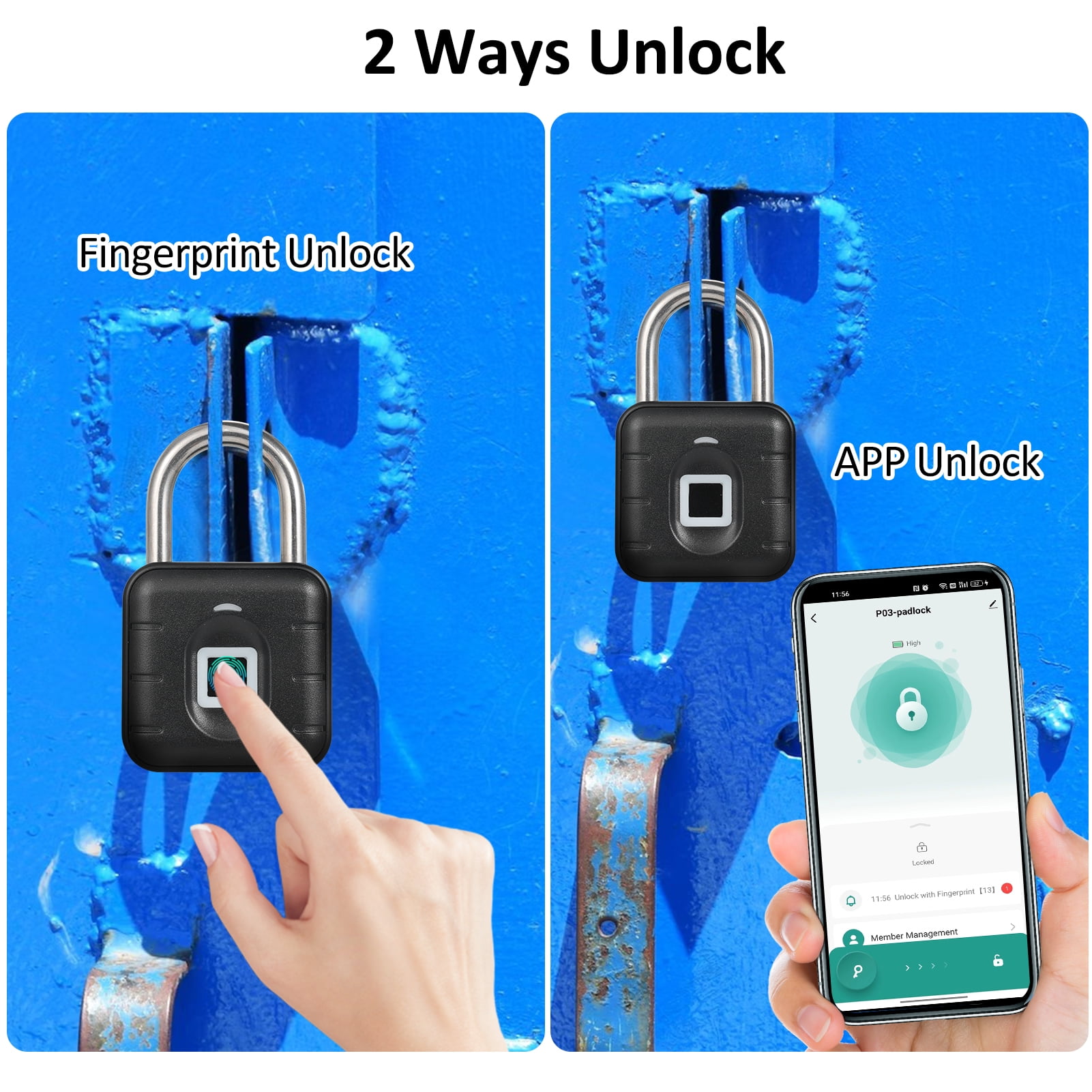 Shinysix Fingerprint Padlock with APP Control, Keyless Electronic Lock ...