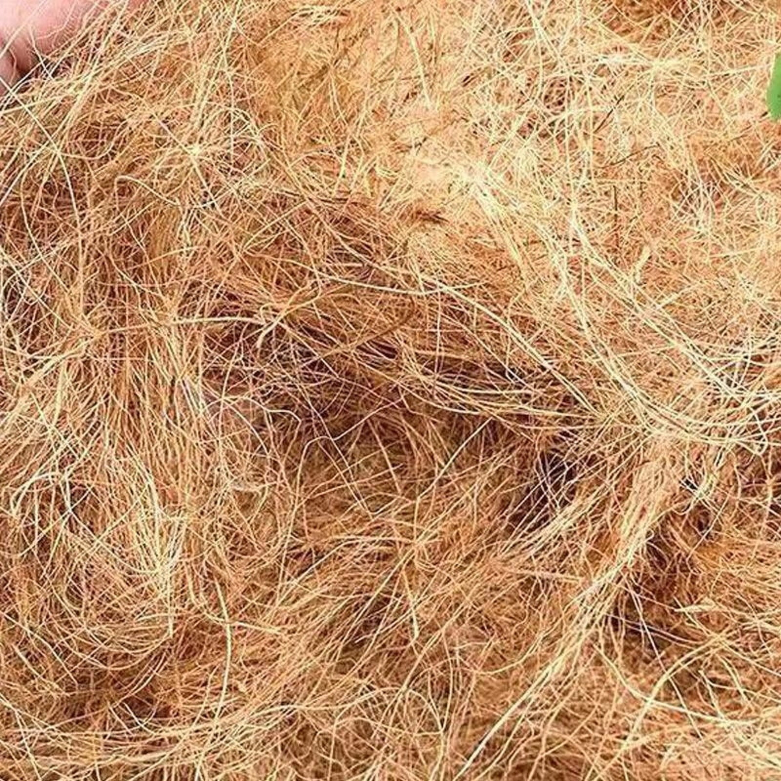 Shiogb 100G Coconut Coir Fiber, Decorative Bird Nest Bedding ...