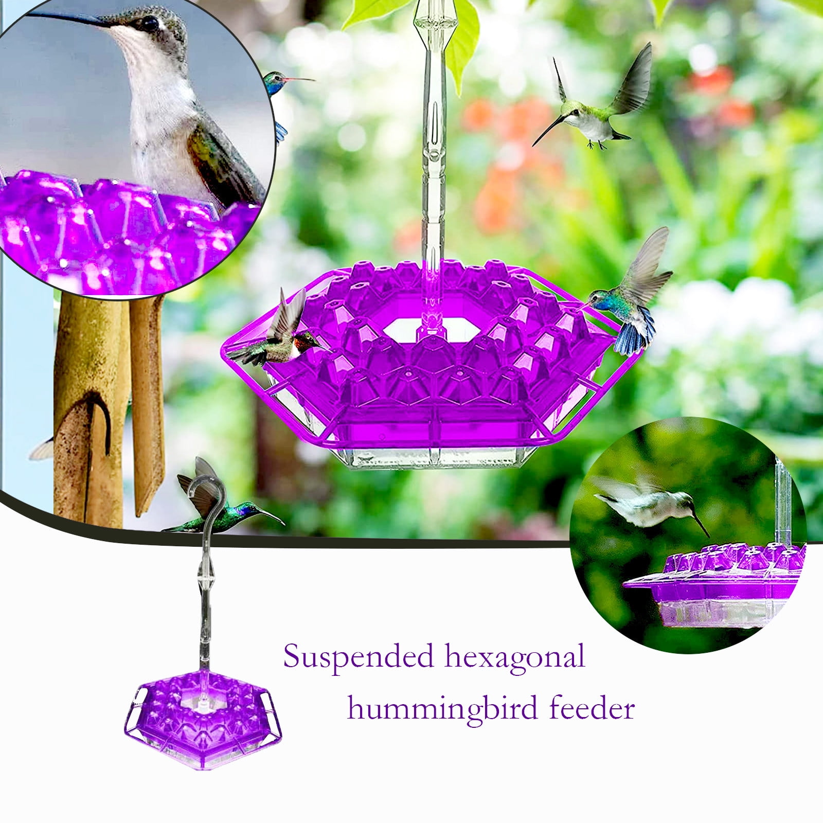 Shirem Hummingbird Feeder, Shirem Sweety Hummingbird Feeder with Ant ...