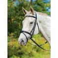 Shires Avignon Louisville Bridle Full - Walmart.com