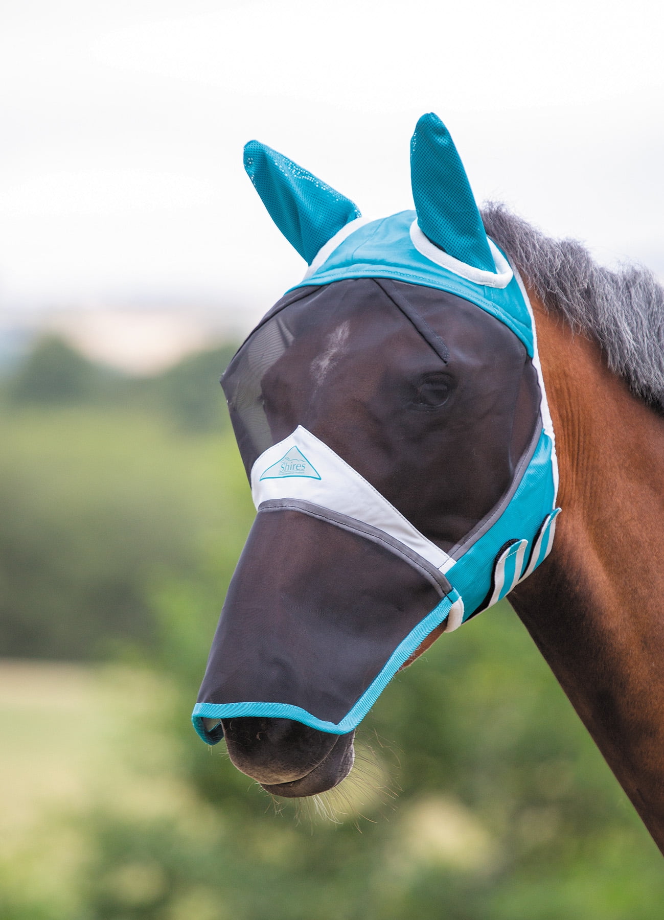 Shires Full Face Fly Mask, Det Nose (Full, Teal) - Walmart.com