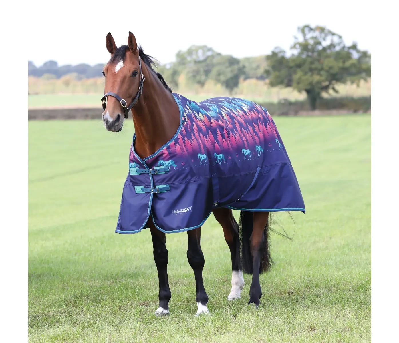 Shires Tempest Original Lite Turnout (Navy Forest, 81") - Walmart.com