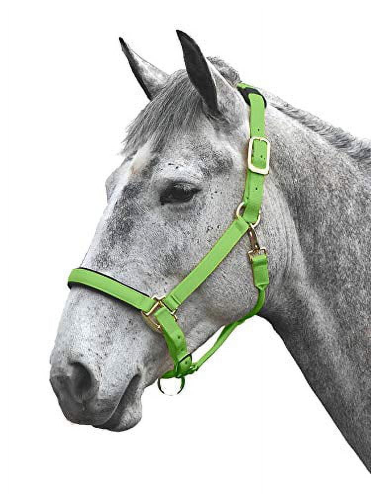 Shires Topaz Leather Breakaway Nylon Halter Green Cob - Walmart.com
