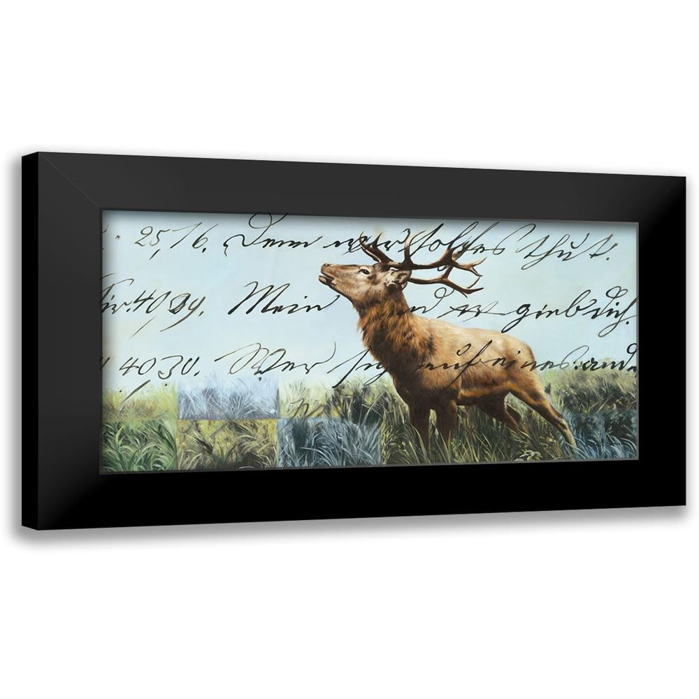 Shirin Donia 24x14 Black Modern Framed Museum Art Print Titled - Hirsch ...