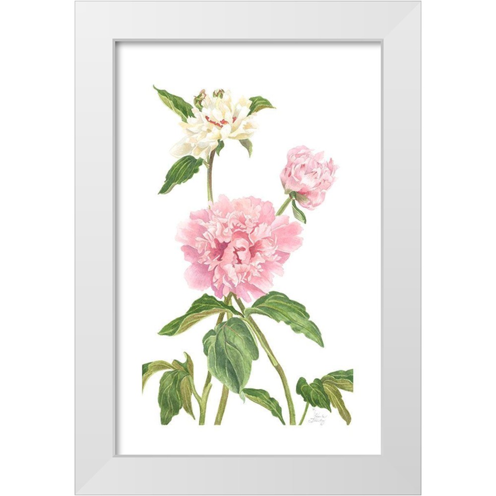 Shirley, Pamela 17x24 White Modern Wood Framed Museum Art Print Titled ...