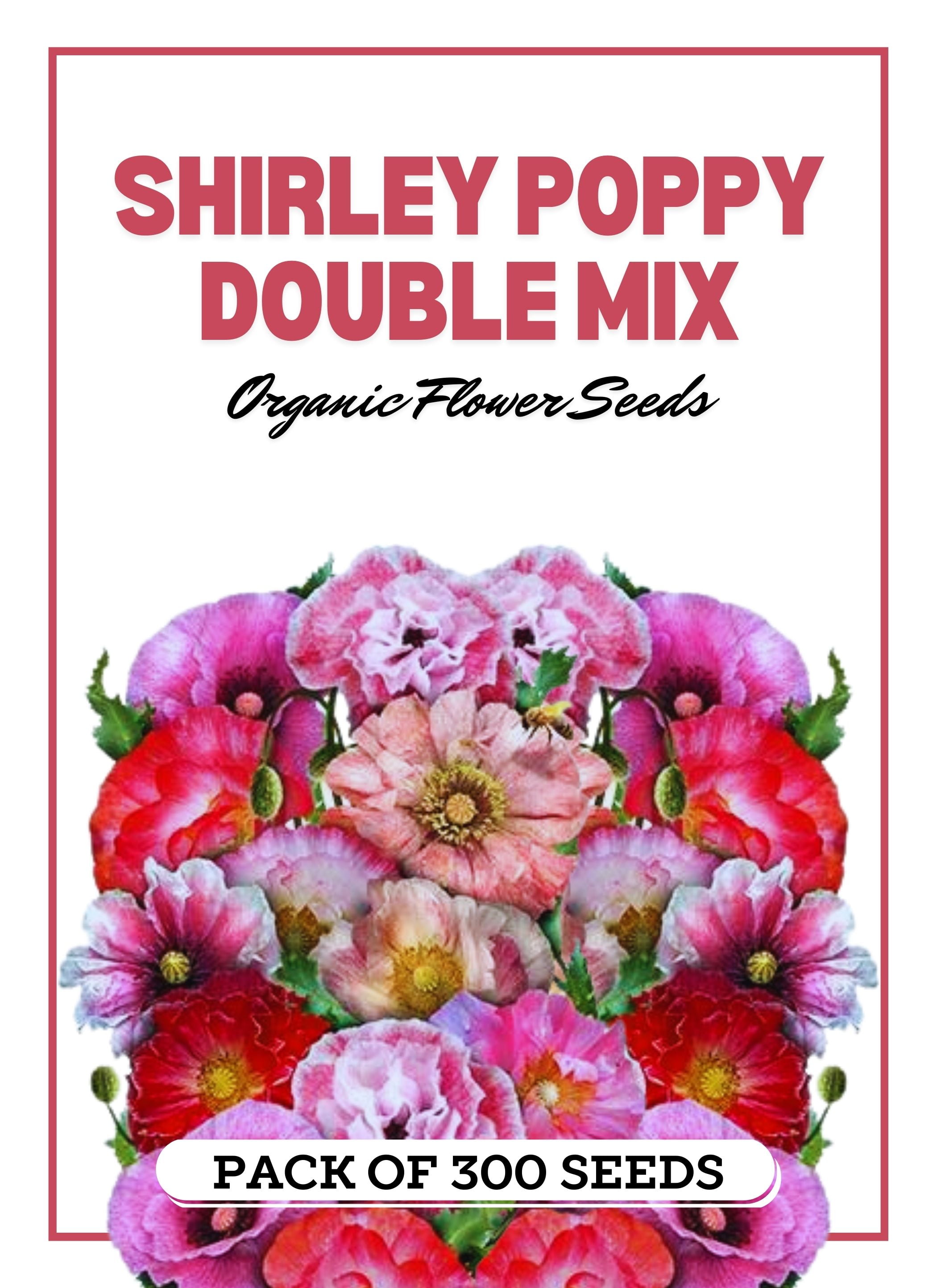 Shirley Poppy Double Mix Flowers (300 Seeds) | Non-GMO | Organic | All ...