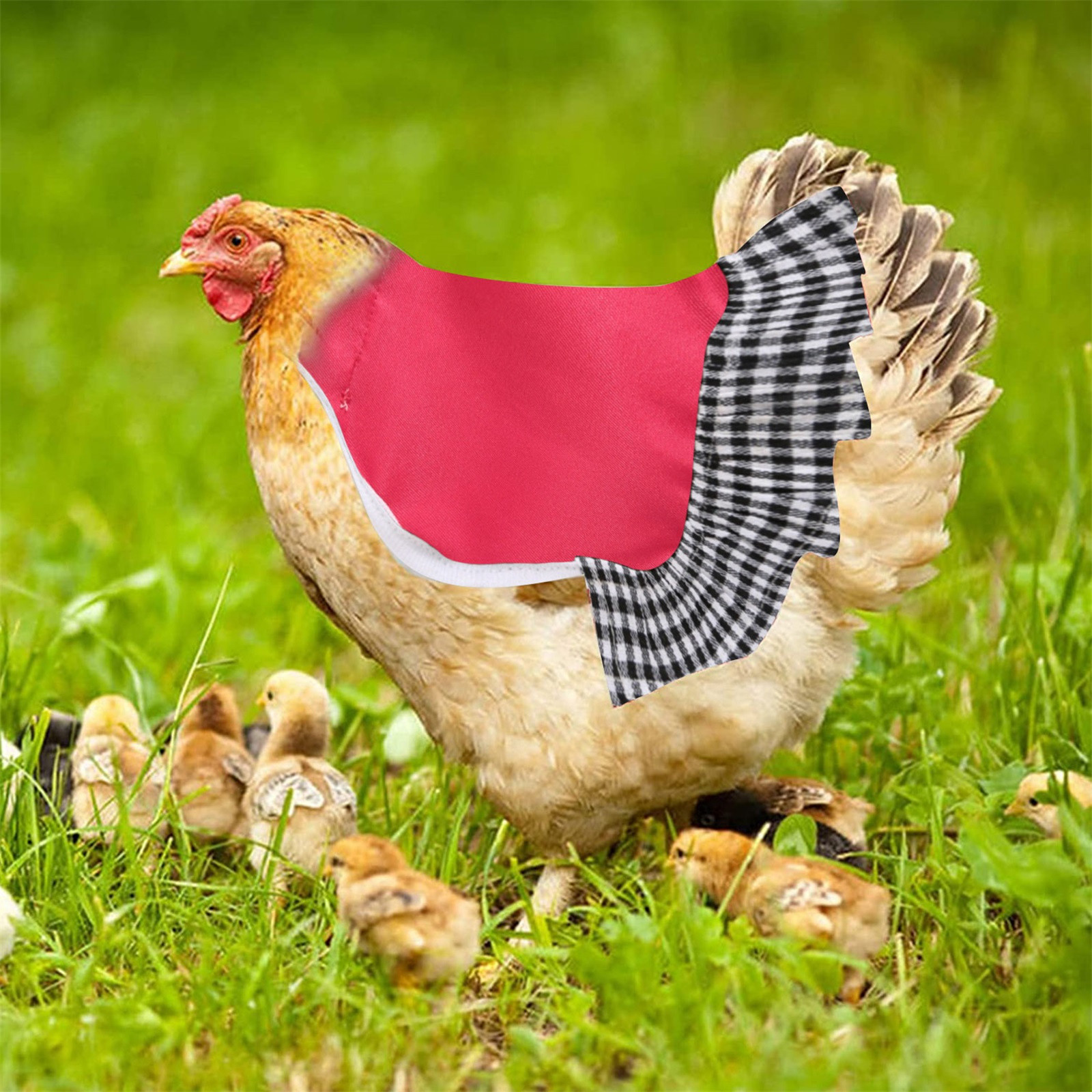 Shirts for Dog Chicken Saddle For Hens Chicken Apron With Elastic Strap ...