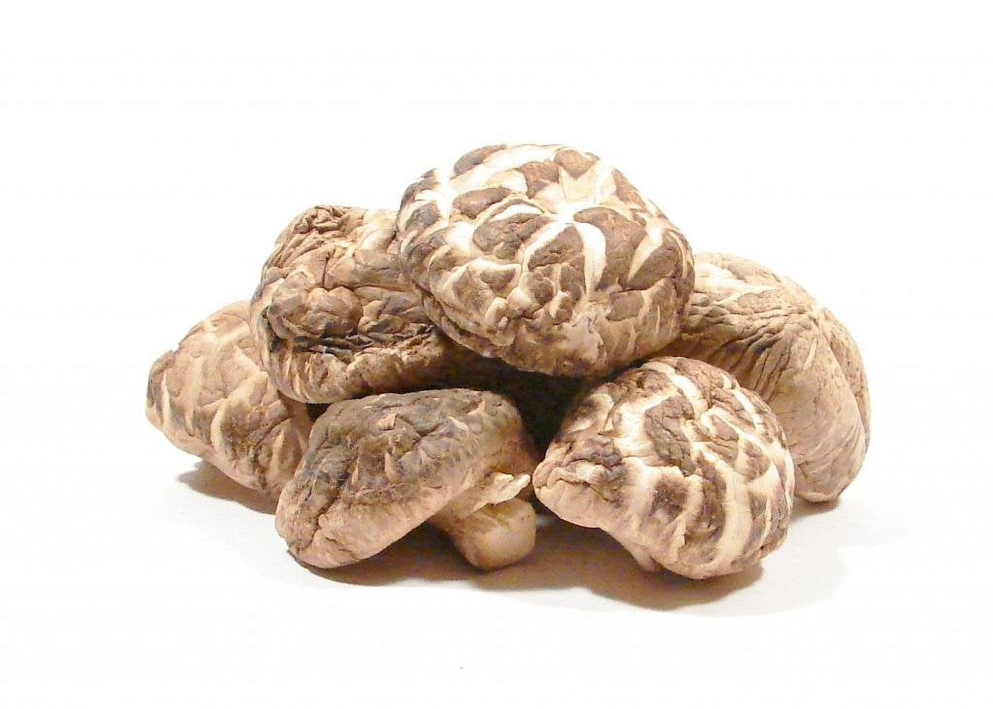 Shitake Mushroom, Dried-1Lb-Grade A Dried Japanese Shitake - Walmart.com
