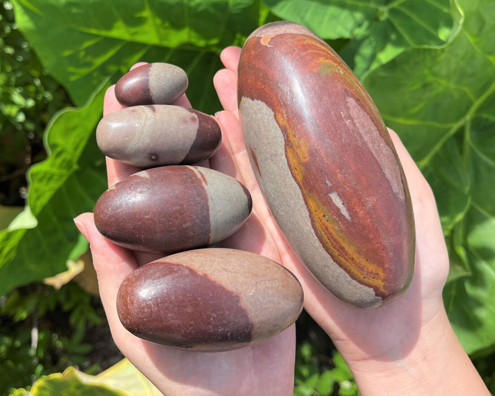 Shiva Lingam Stones 1-6" Sacred Stones From Narmada River India ...