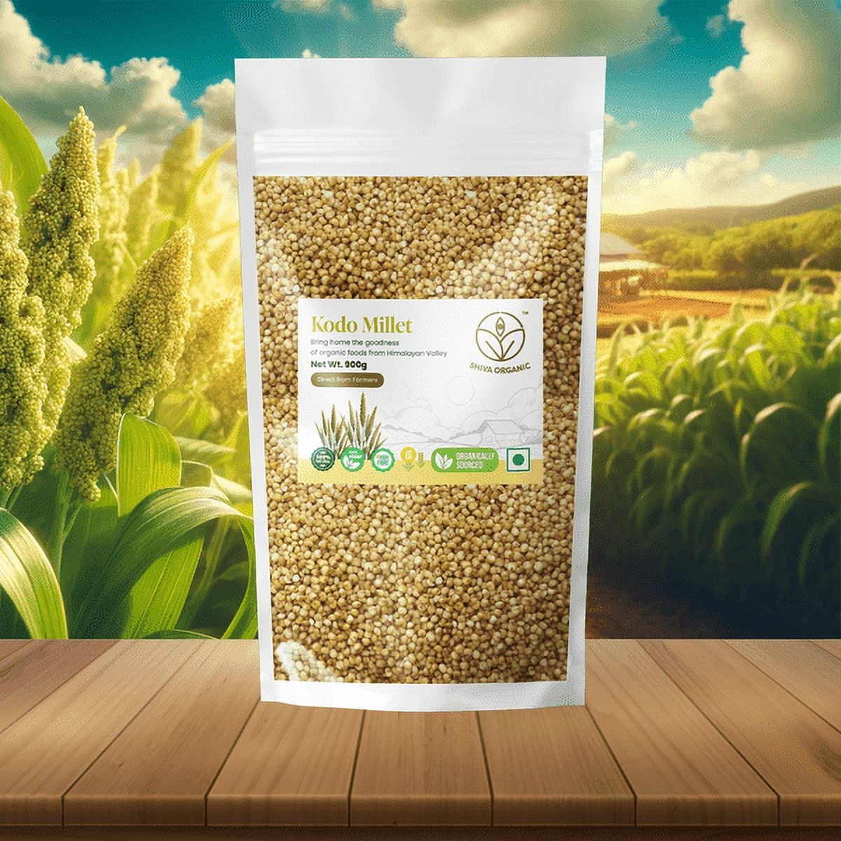 Shiva Organic Kodo Millet 900g - Ancient Grain for Modern Health ...
