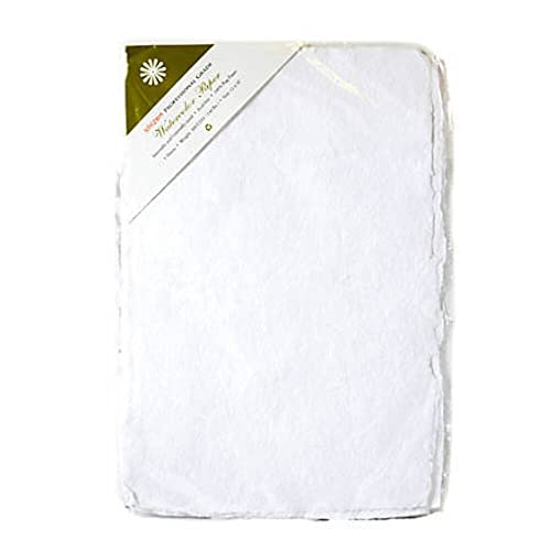 Shizen Design Professional Grade Watercolor Paper 9 In. X 12 In. Deckle ...