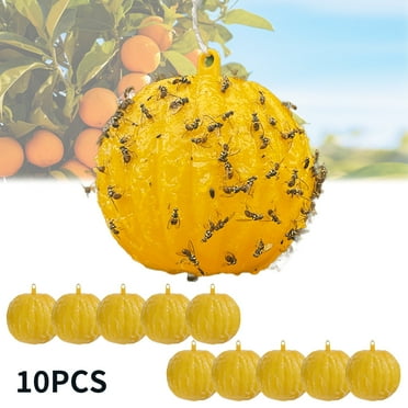 10Pcs Hanging Sticky Fly Trap Balls For Indoor And Outdoor Spaces ...