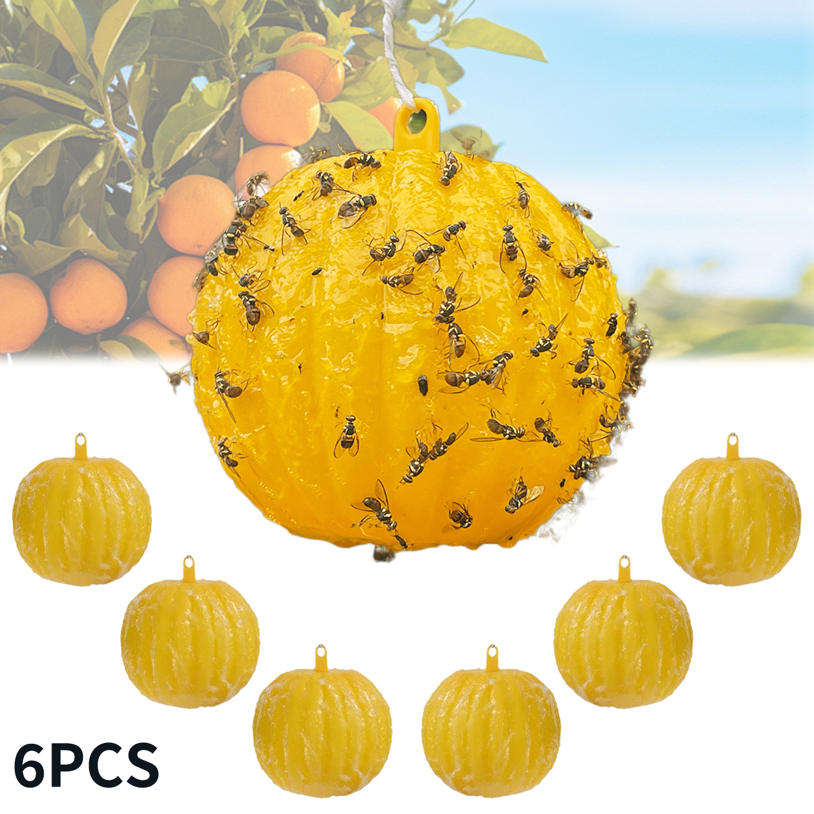 Shkhoas 6PCS Effective Fruit Fly Trap Balls for Indoor & Outdoor Use ...