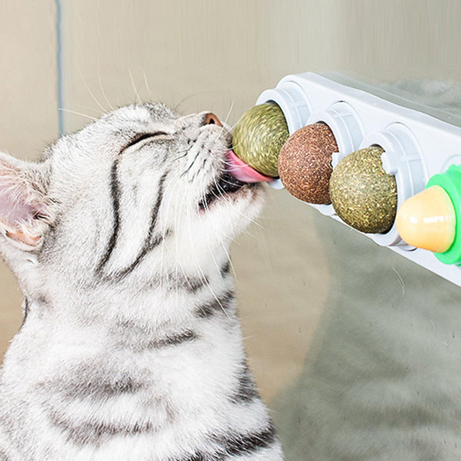 Shkhoas Dental Cat Toys 4PCS Catnip Balls for Wall Edible Kitten Chew ...