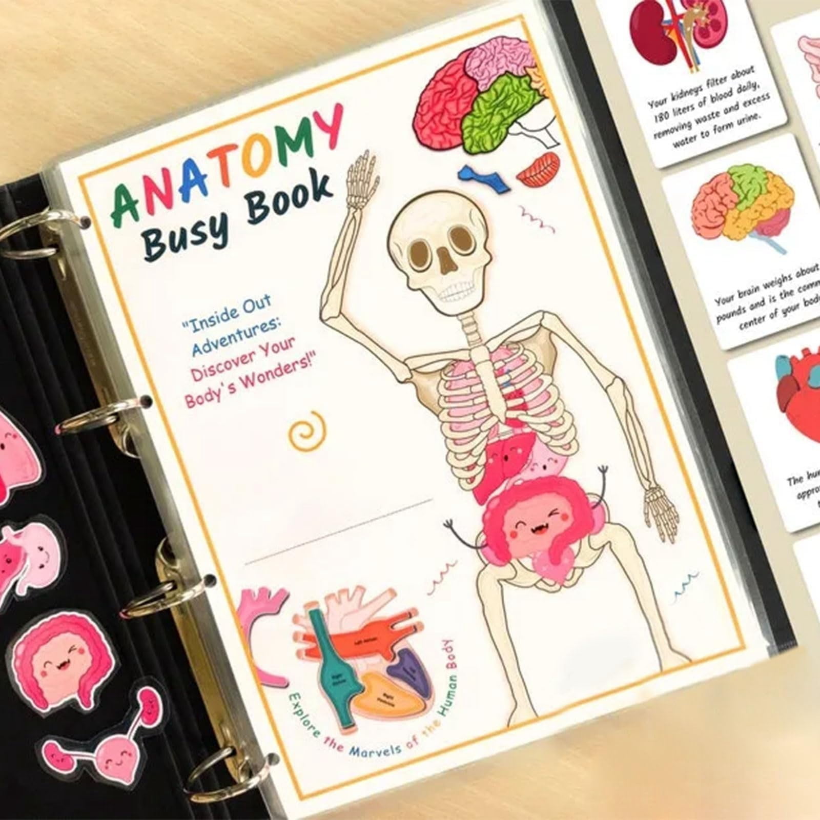 Shkhoas Human Anatomy Busy Book, Human Body Anatomy Busy Book for Kids ...