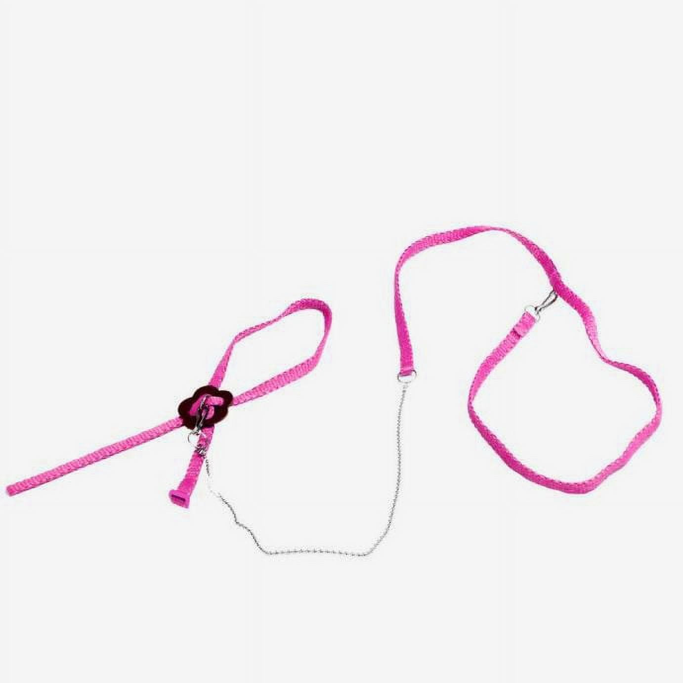 Shldybc Bearded Dragon Harness and Leash, Adjustable Leather Lizard ...