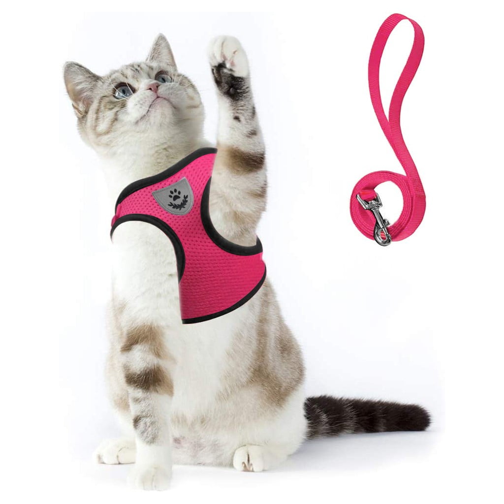 Shldybc Soft Mesh Cat Harness and Leash Set with Reflective Strap ...