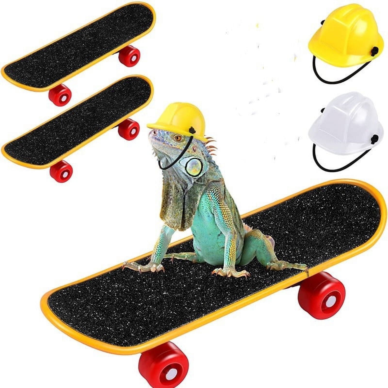 FAMTKT Hot Selling Pet Helmet Skateboard Set of 3 Pet Engineering Hat ...