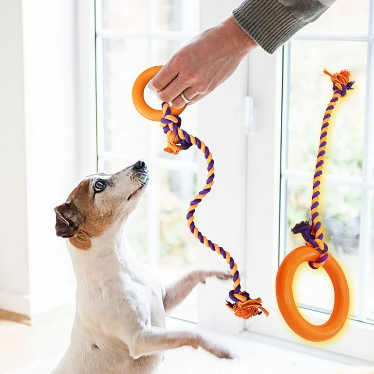 Tug toys for small dogs store
