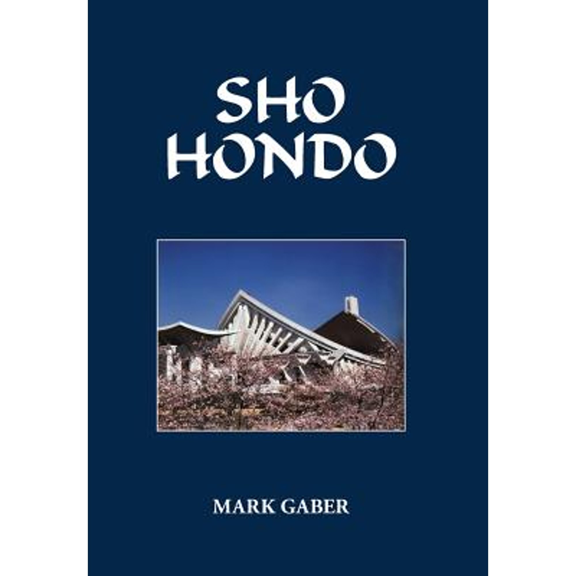 Sho Hondo (Hardcover) by Mark Gaber - Walmart.com