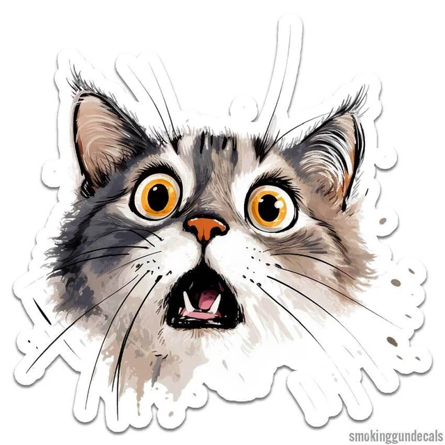 Shocked Grey Cat Sticker Indoor Outdoor Phone Decal Water Bottle ...