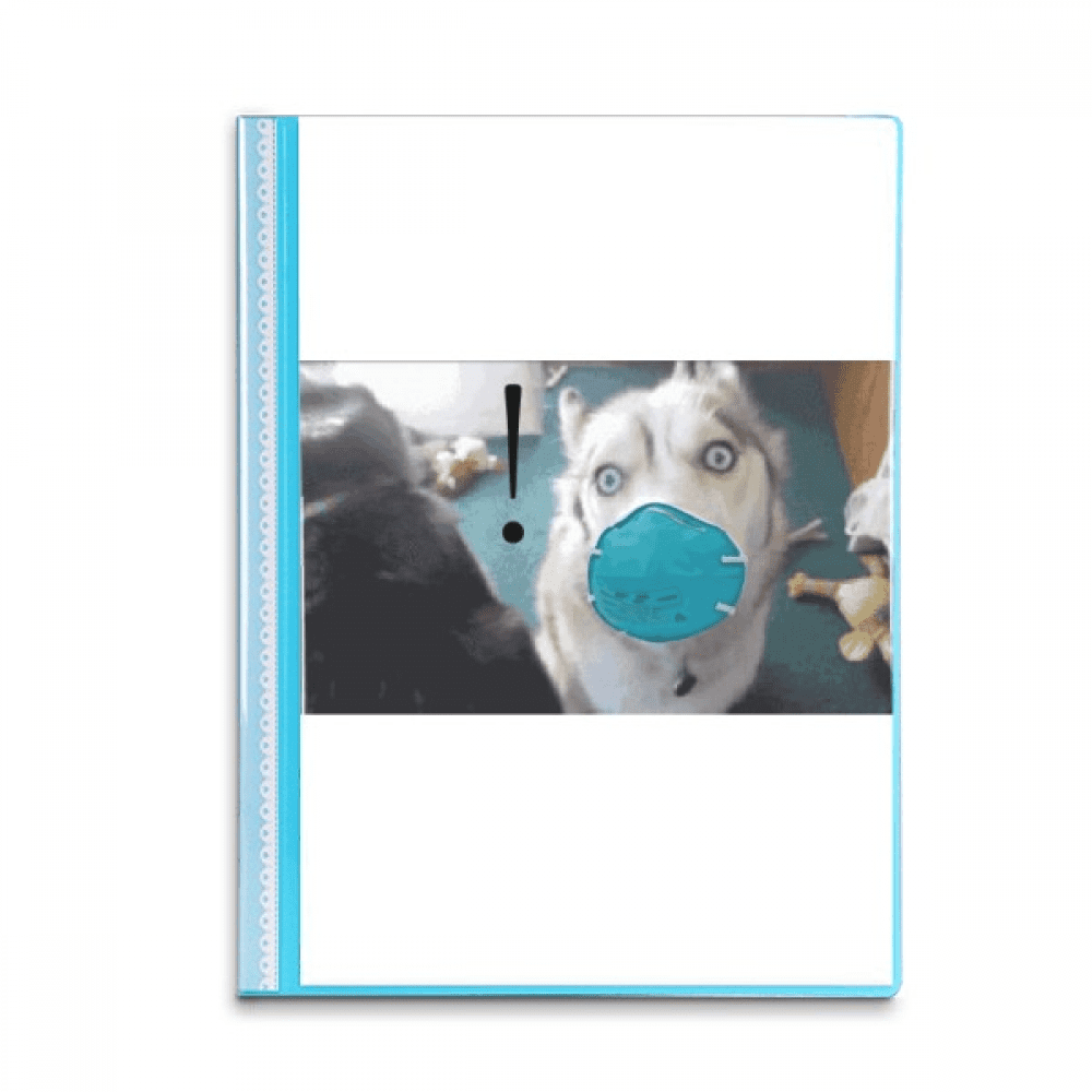 Shocked Silly Head Pet Dog Expression Book Sheet Protectors Portfolio ...