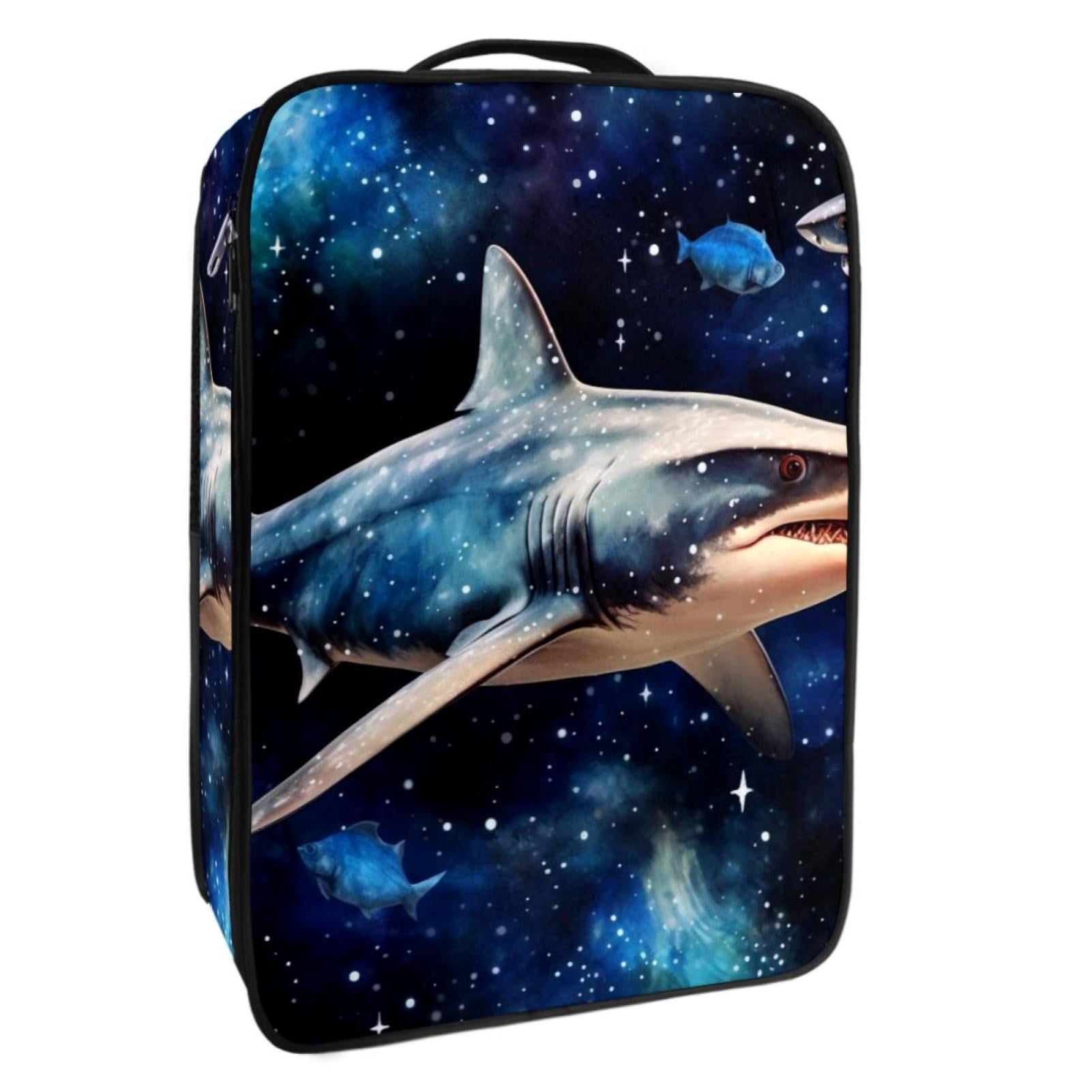 Shoe Boxes Organizer Storage Solution for Closet, 23x31cm/9x12in, , Space-saving Design for ...